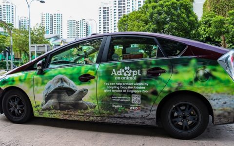 Taxi, Cab & Rideshare Screen Advertising | True Impact Media